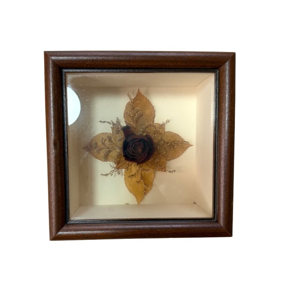 Wall Decor | Vintage Pressed Rose Shadow Box Frame Whimsical Witchy ...